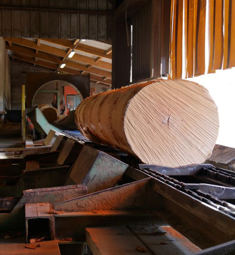 Vente de Bois de la Coopérative Forêt d'Ici